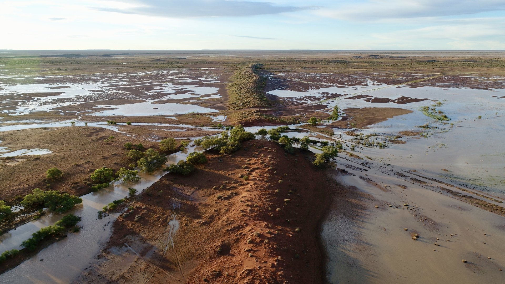 Channel Country | Queensland | Arrabury Pastoral Co Pty Ltd