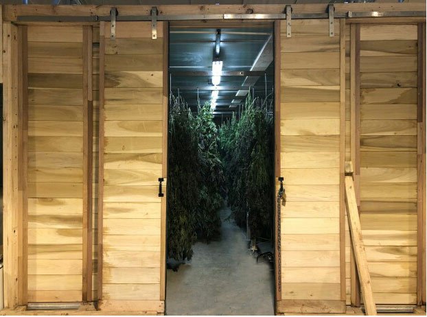 Eco Logic Dry Kilns | Drying Hardwood & More