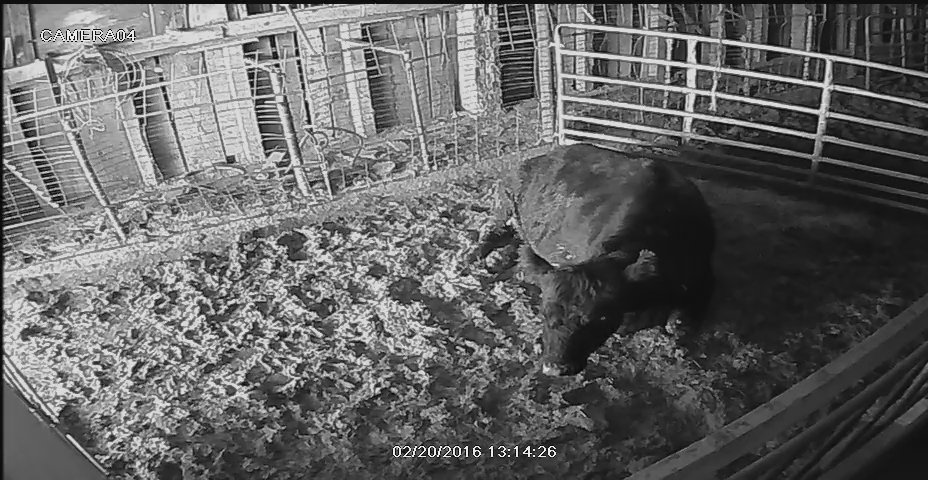 Wireless Barn Camera example photos from Riverwind Supply.