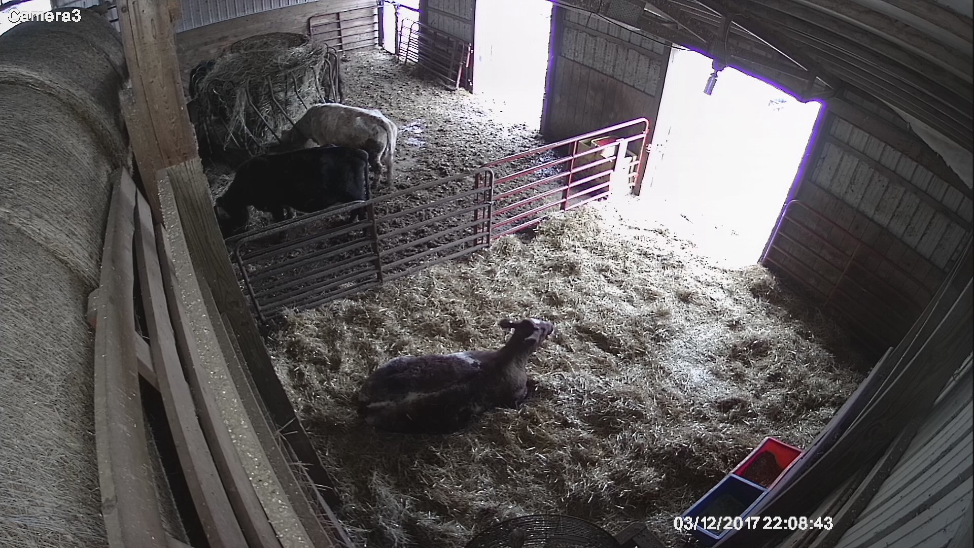 Wireless Barn Camera example photos from Riverwind Supply.