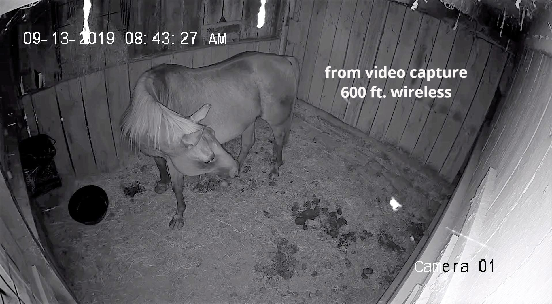 Riverwind™ High Definition Wireless Barn Cameras