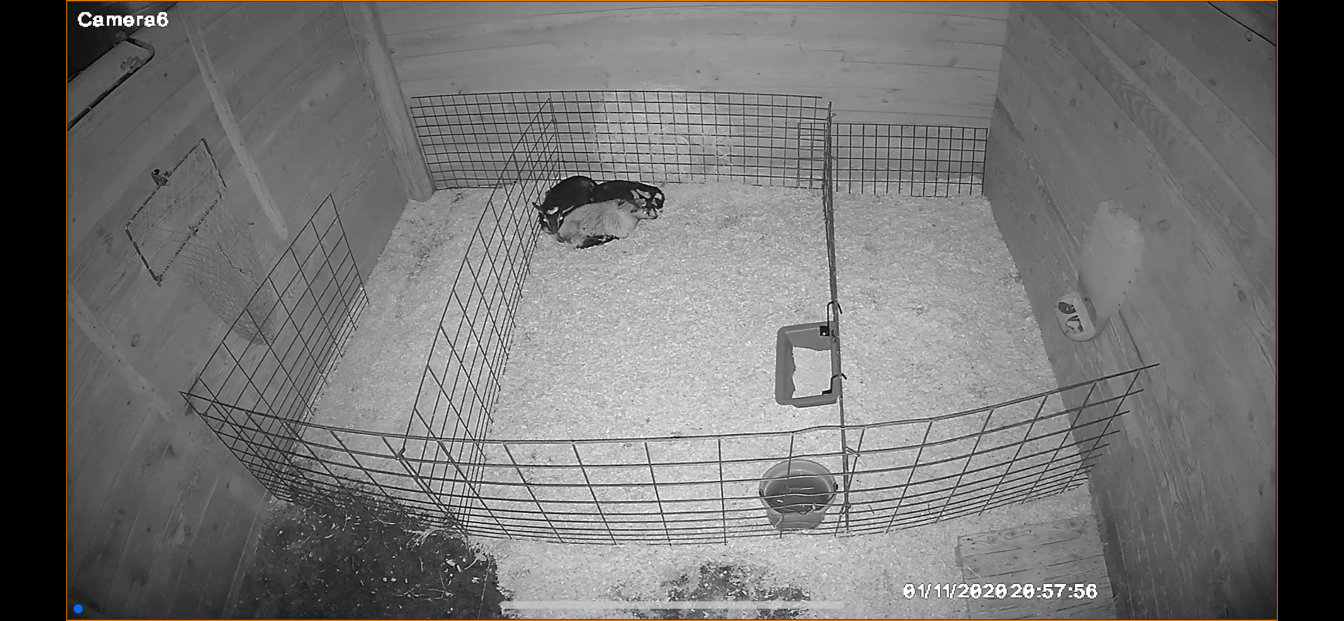 Wireless Barn Camera example photos from Riverwind Supply.