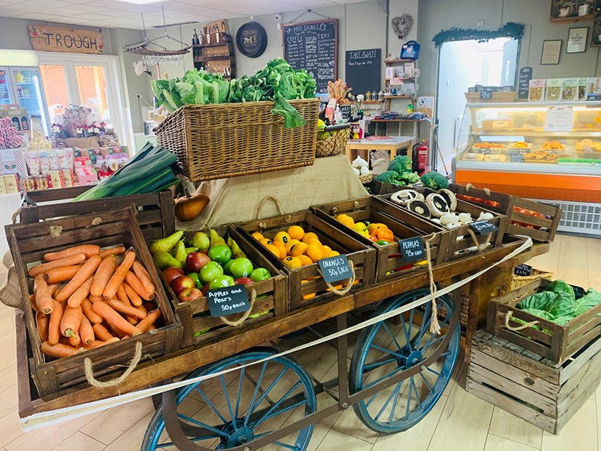 Orchard View Farm Camping & Glamping Gallery