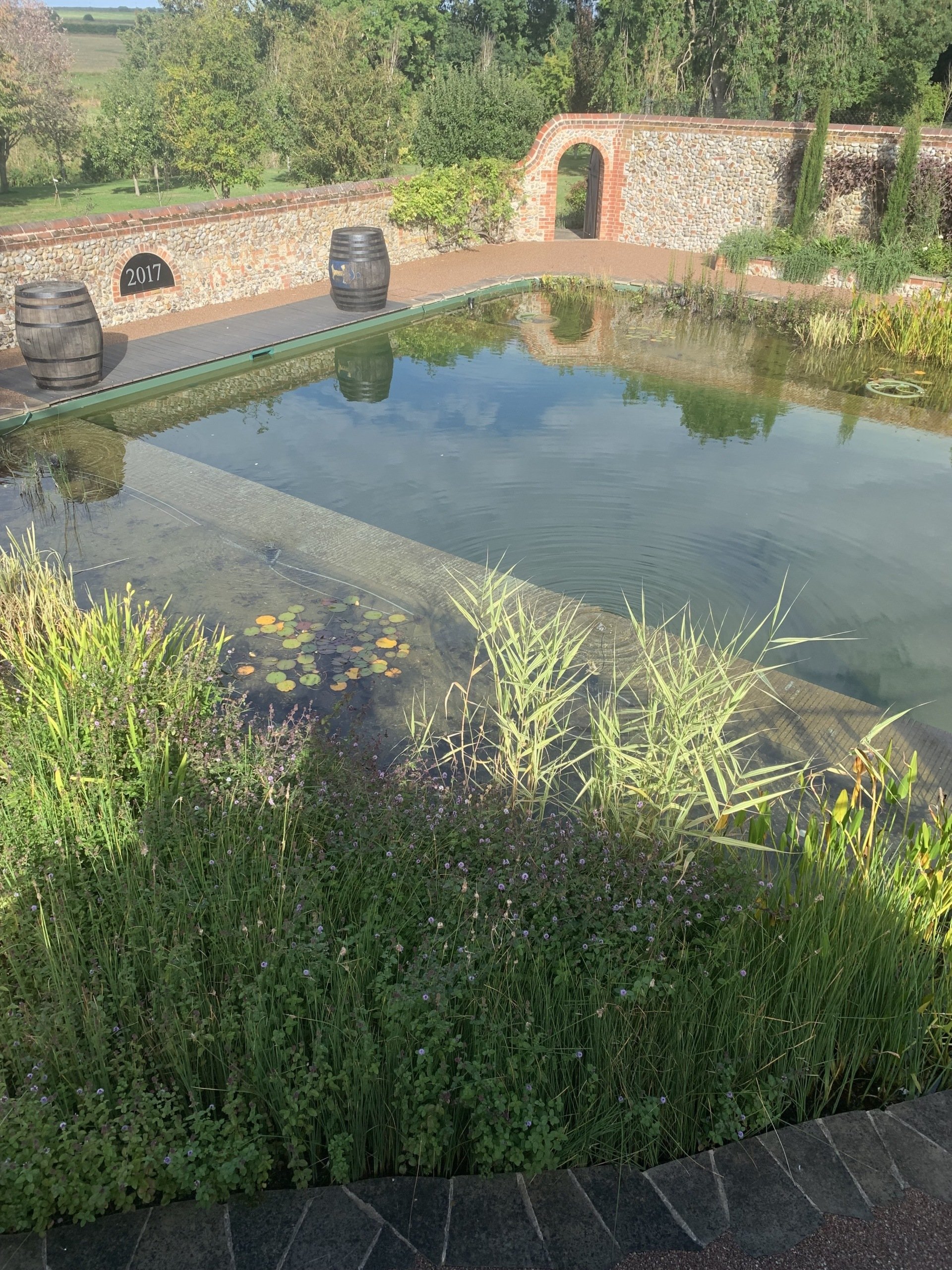 Fresh Water, Natural Swimming Pools & Ponds | Chlorine Free Swimming