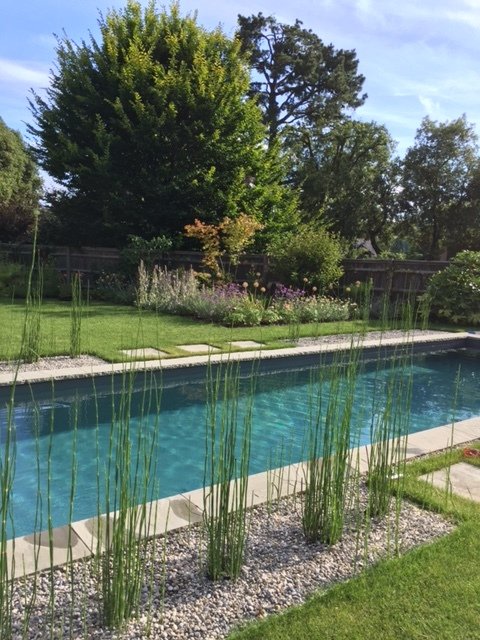 Fresh Water, Natural Swimming Pools & Ponds | Chlorine Free Swimming