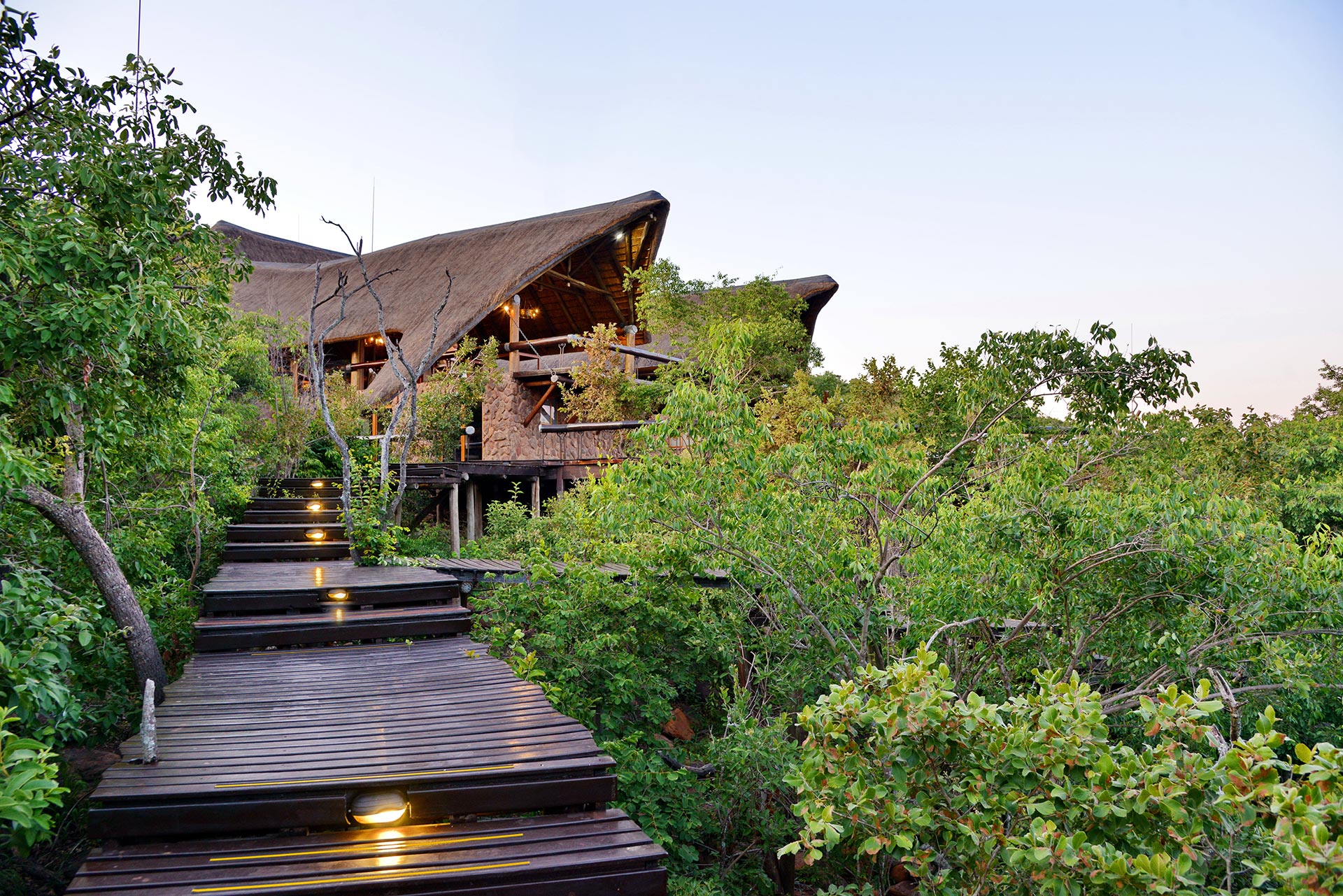 Sediba Luxury Safari Lodge South Africa