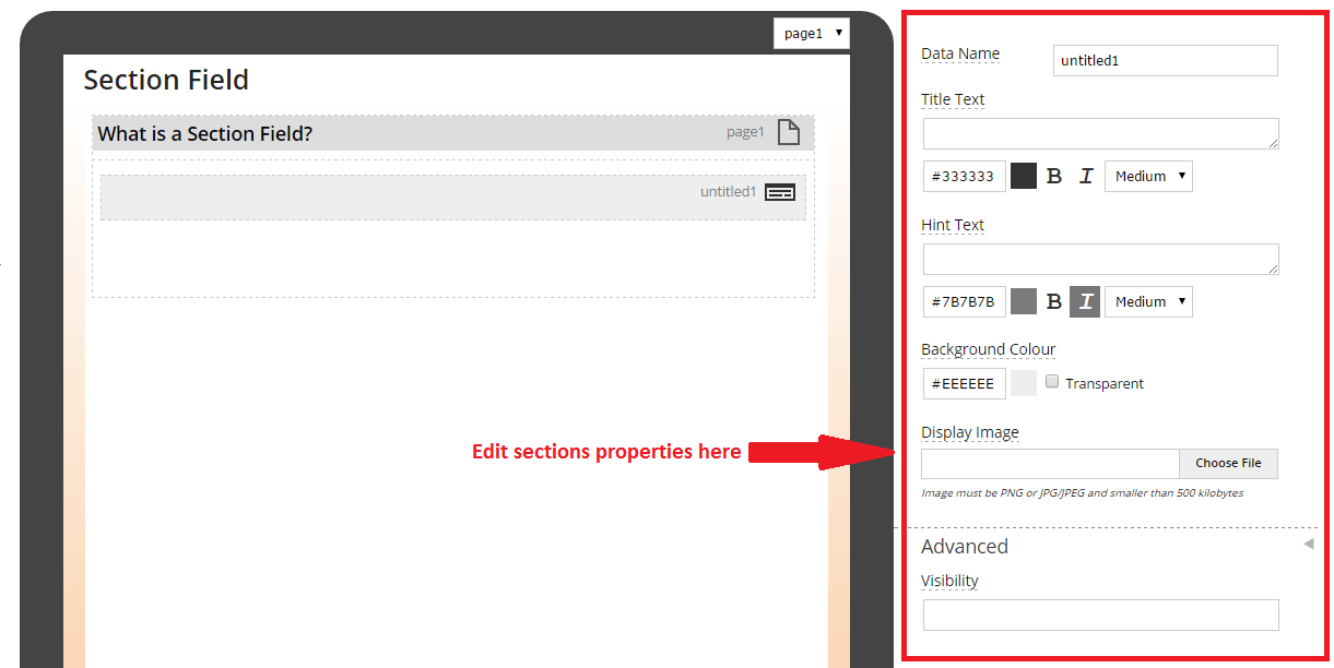 Designing Forms – Section Field