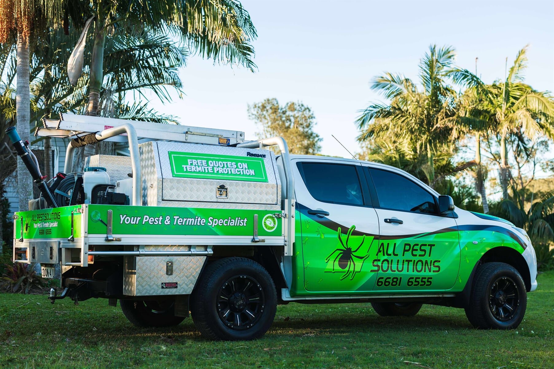 Gallery | Northern Rivers Pest Control Service
