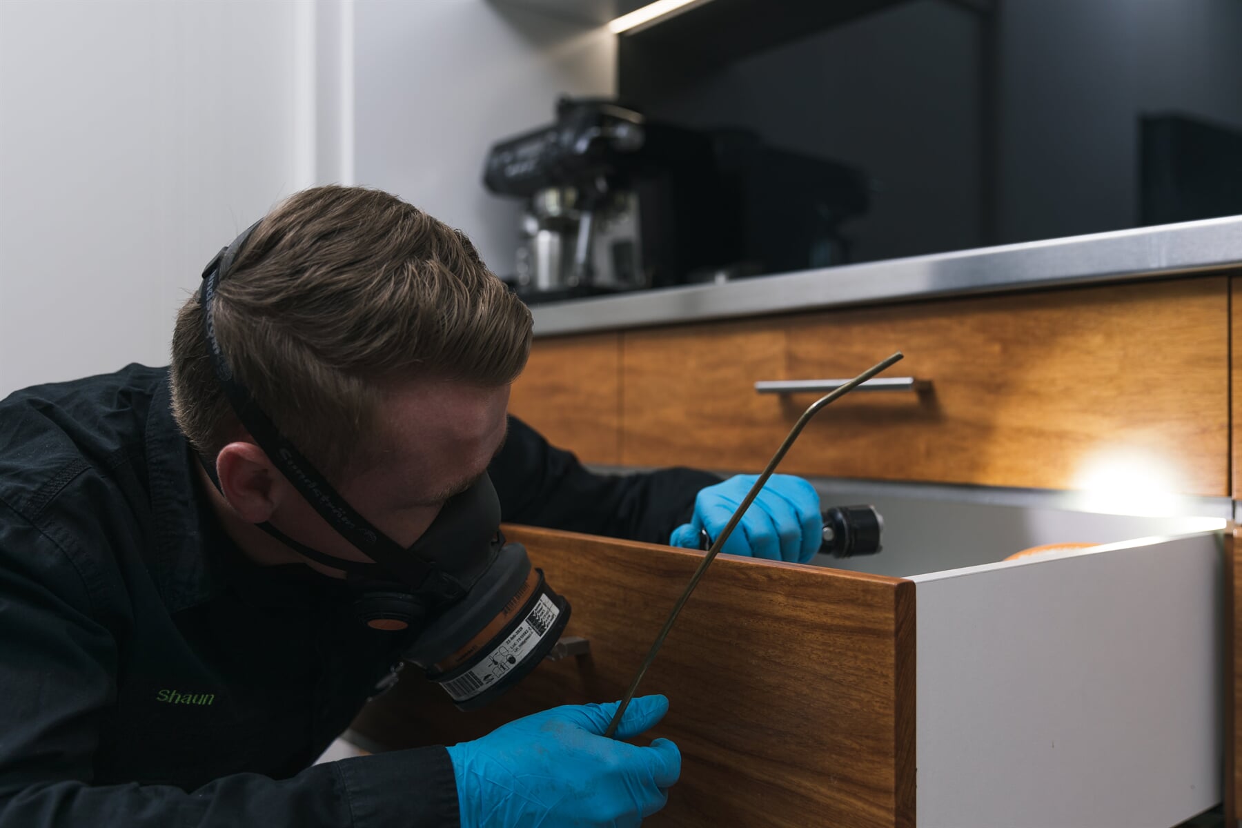 Gallery | Northern Rivers Pest Control Service