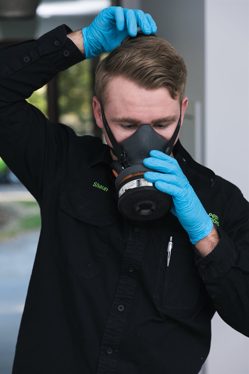 Gallery | Northern Rivers Pest Control Service