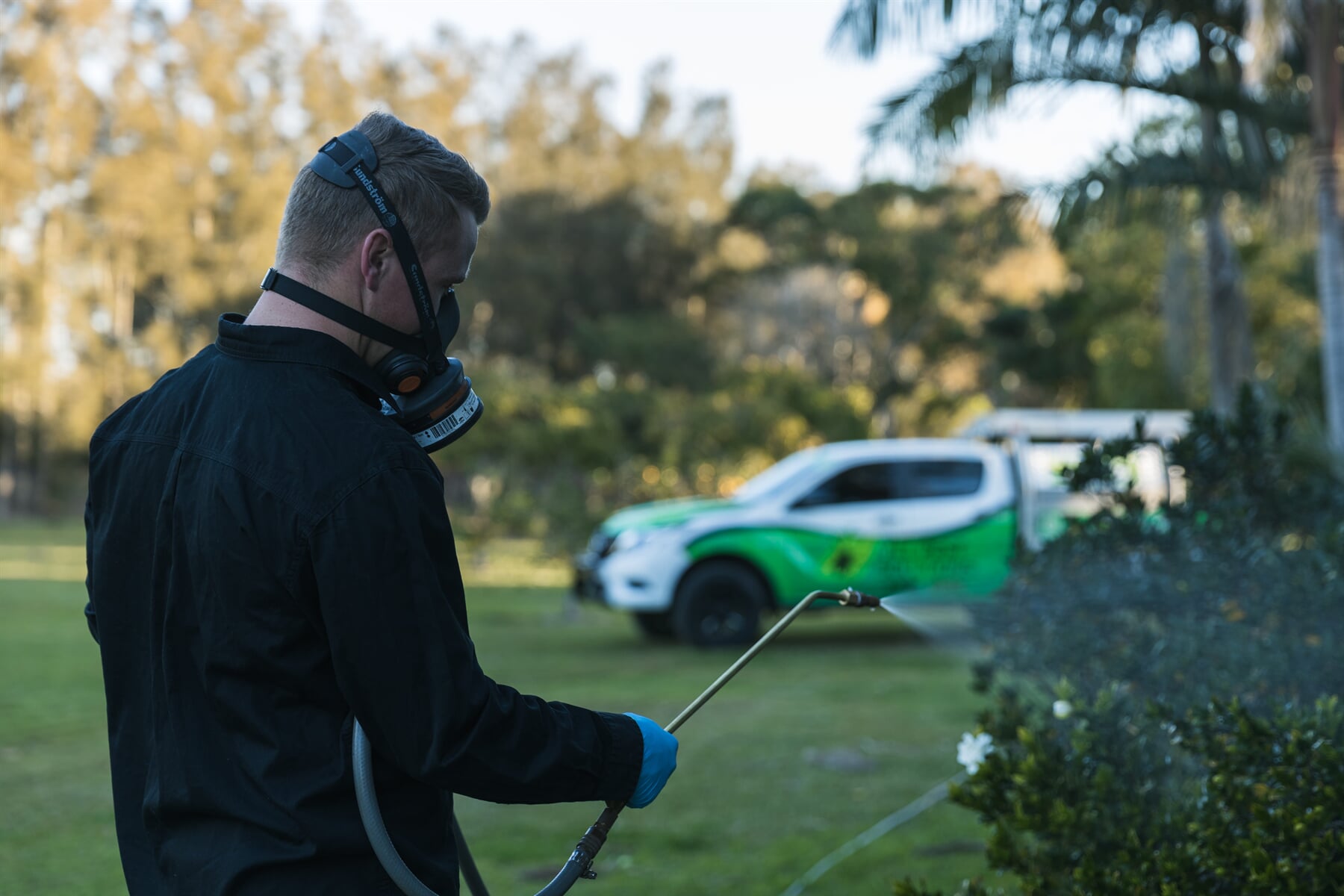 Gallery | Northern Rivers Pest Control Service
