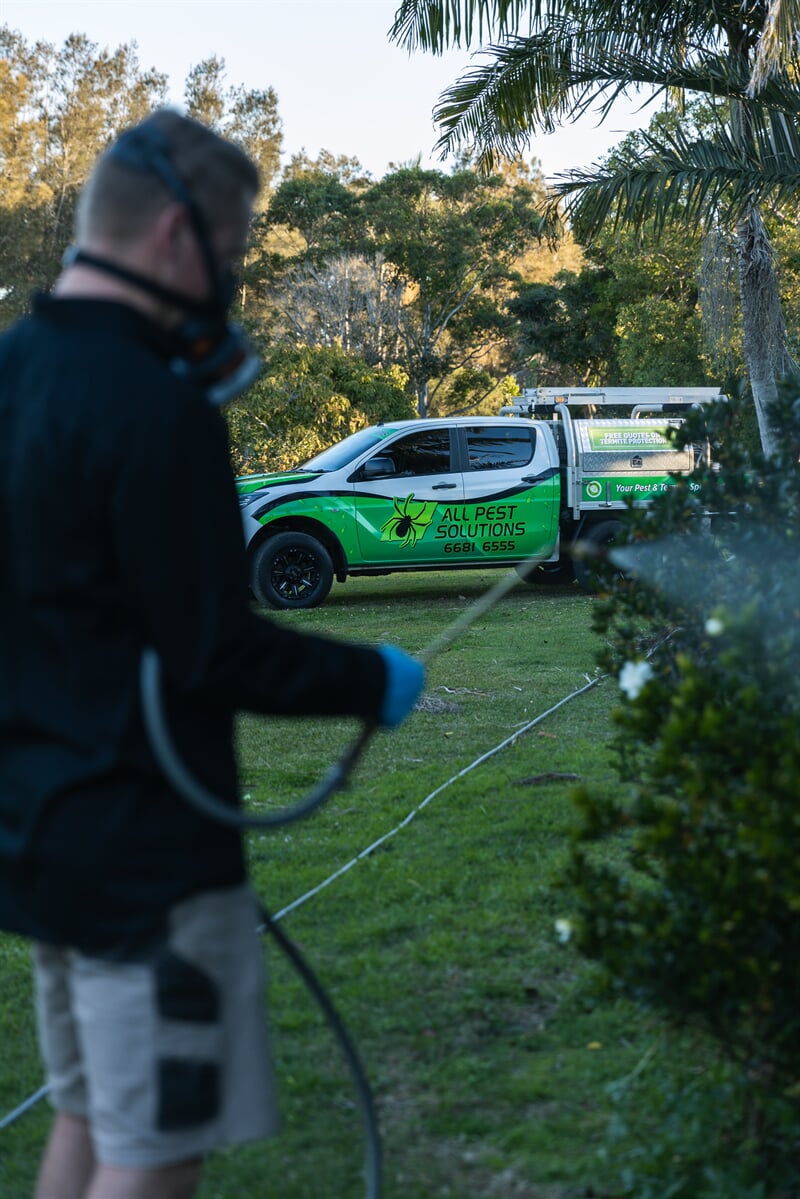 Gallery | Northern Rivers Pest Control Service