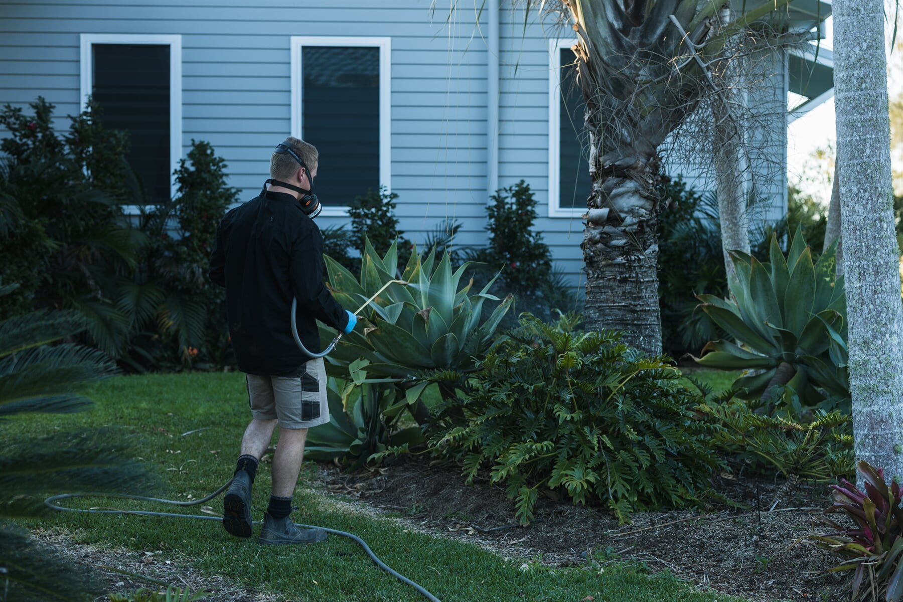 Gallery | Northern Rivers Pest Control Service