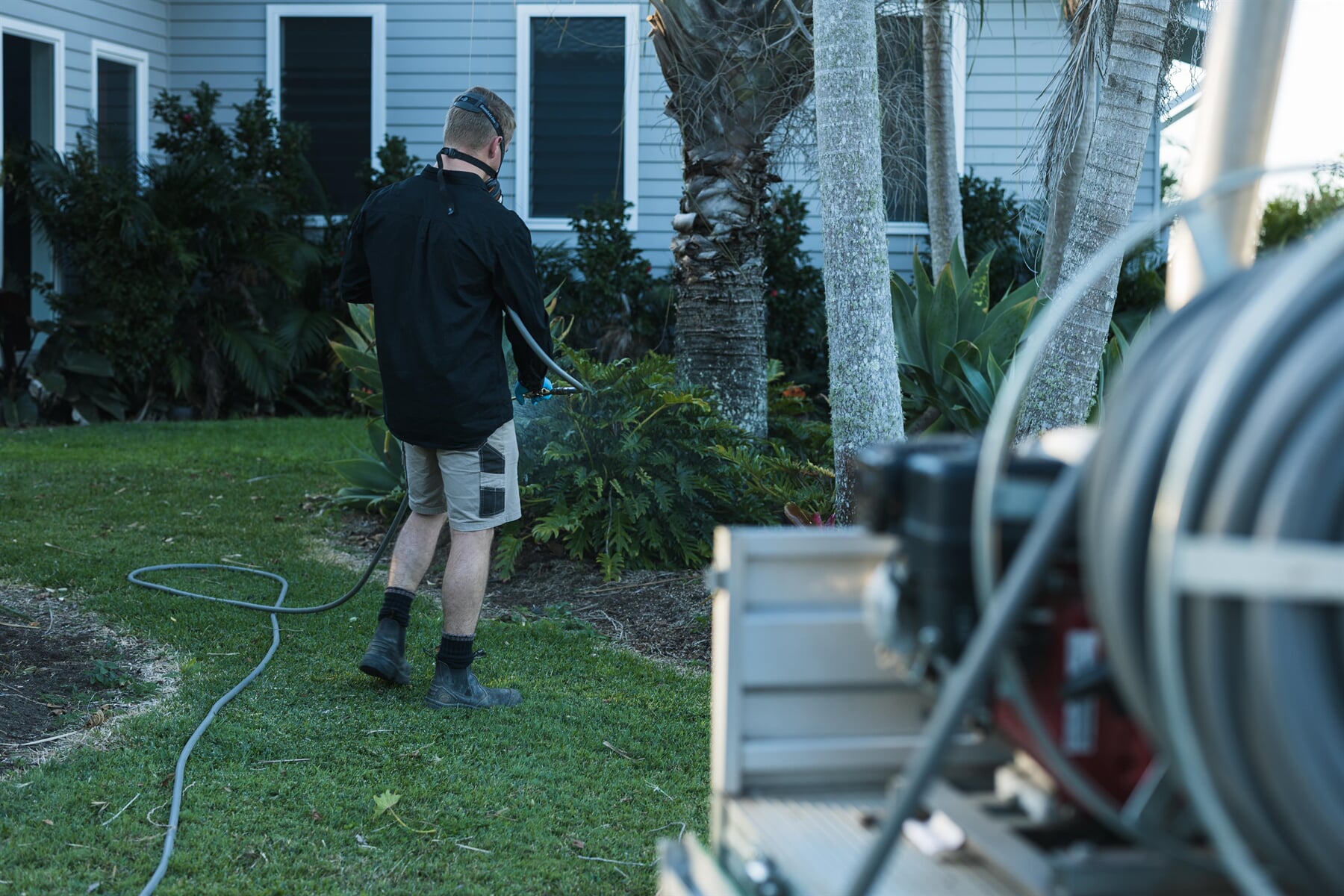 Gallery | Northern Rivers Pest Control Service