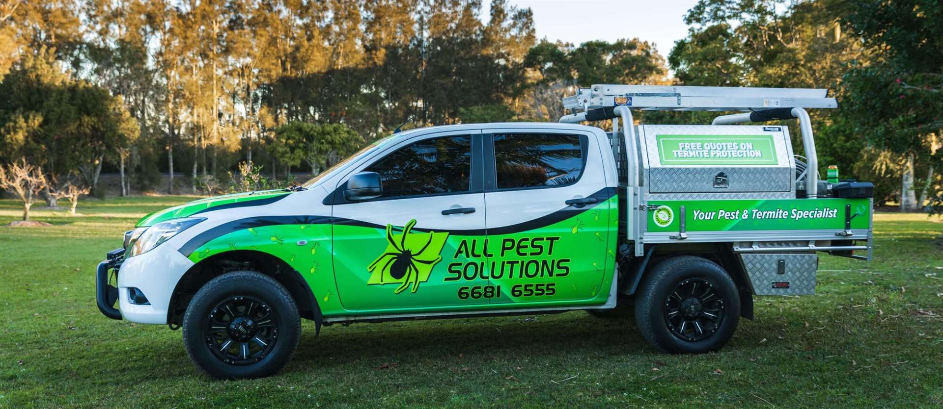 Gallery | Northern Rivers Pest Control Service