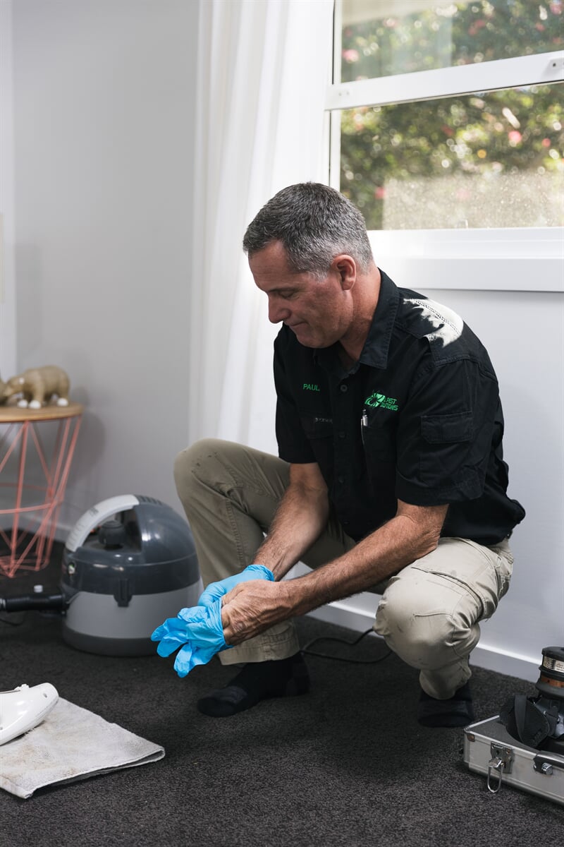 Gallery | Northern Rivers Pest Control Service