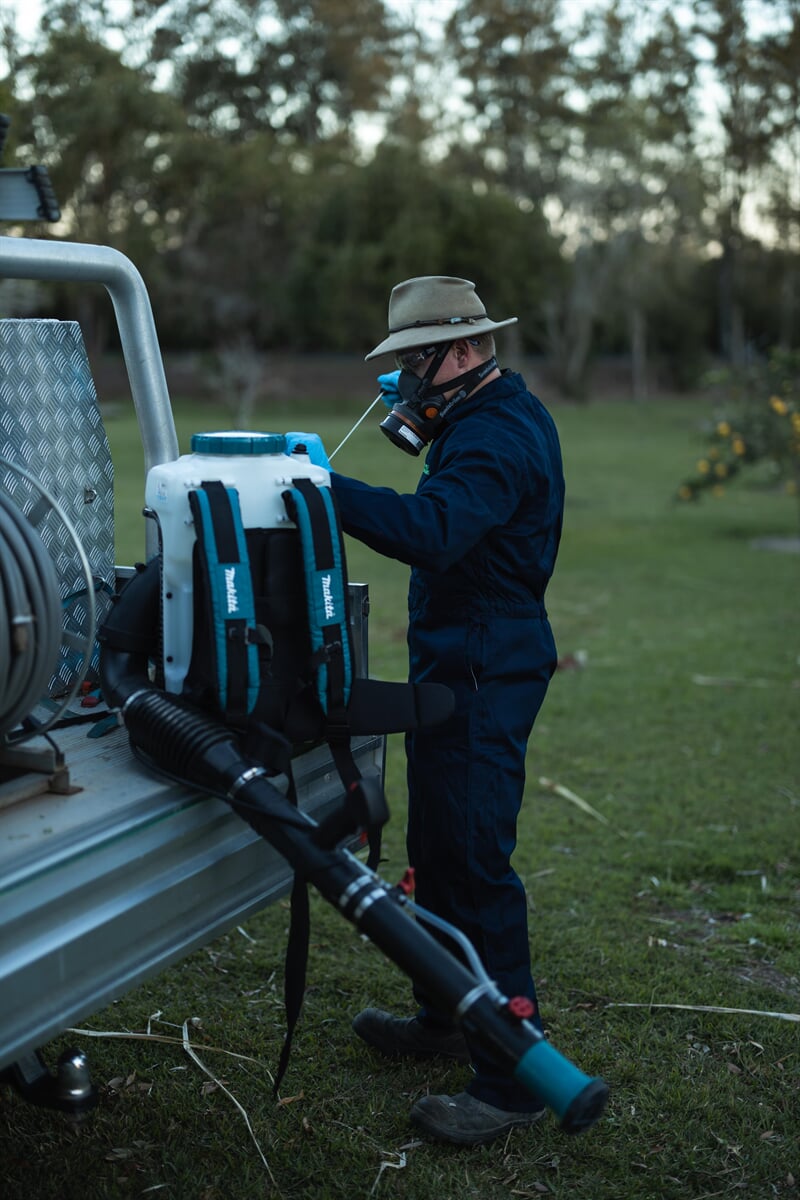 Gallery | Northern Rivers Pest Control Service