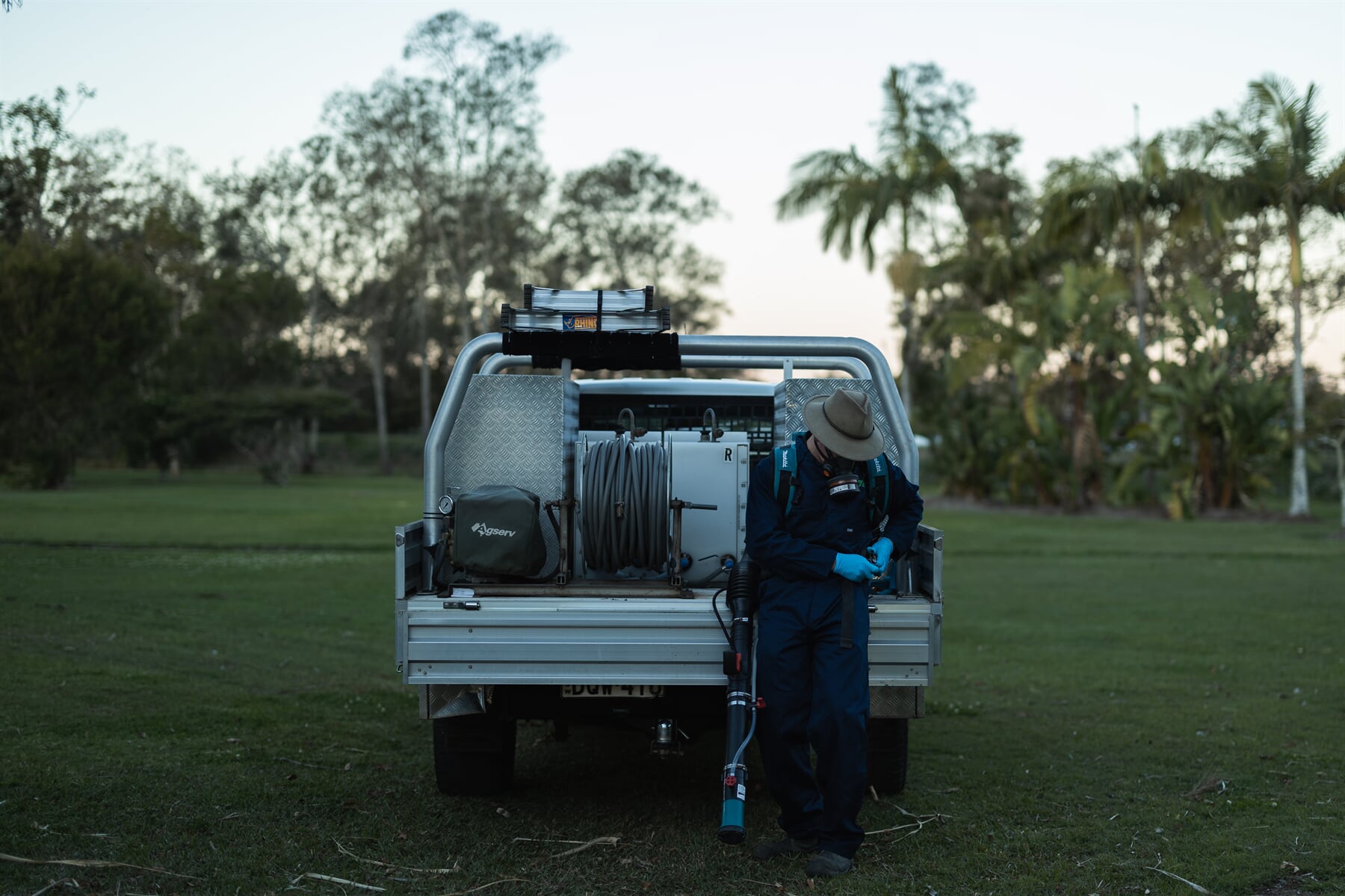 Gallery | Northern Rivers Pest Control Service