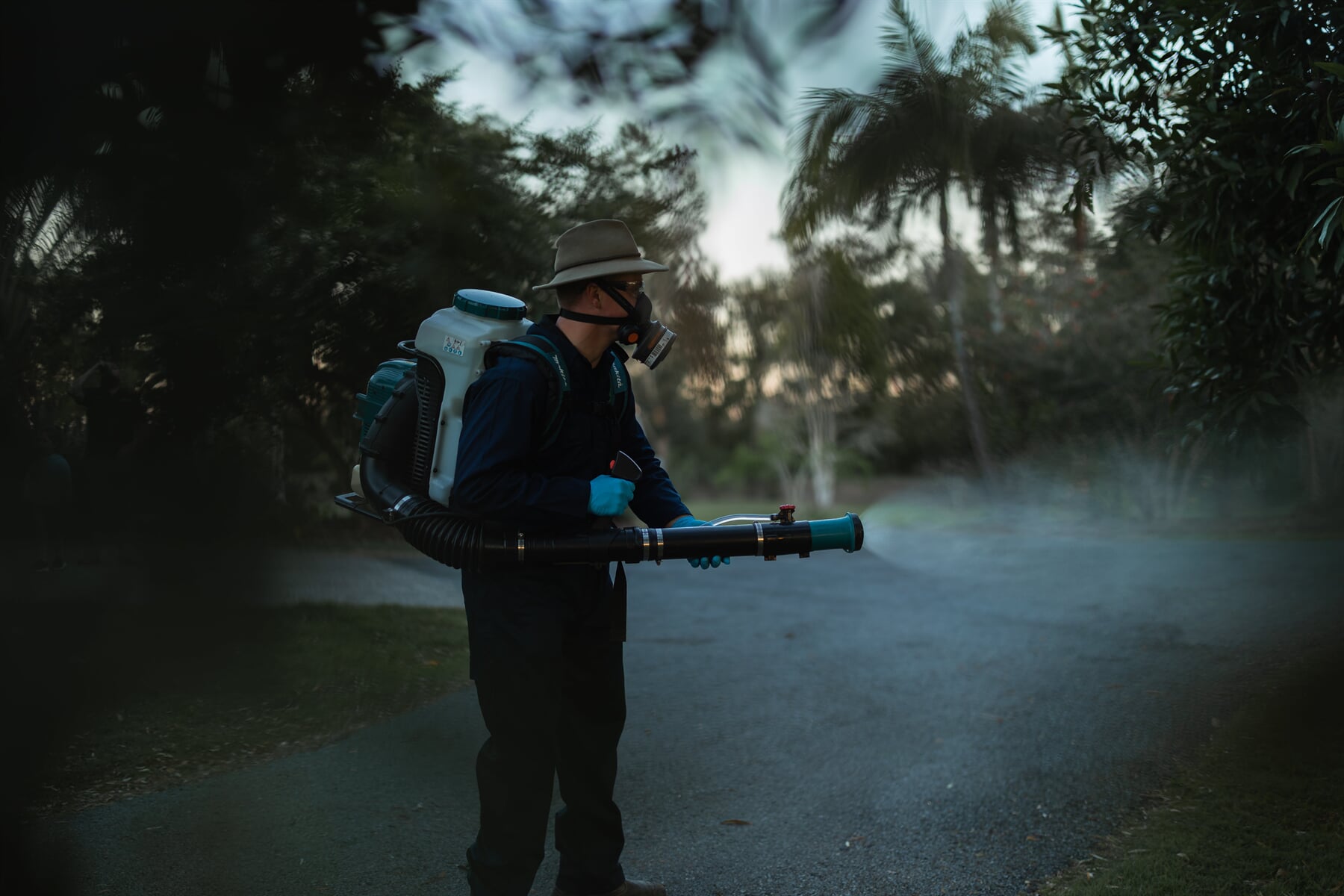 Gallery | Northern Rivers Pest Control Service