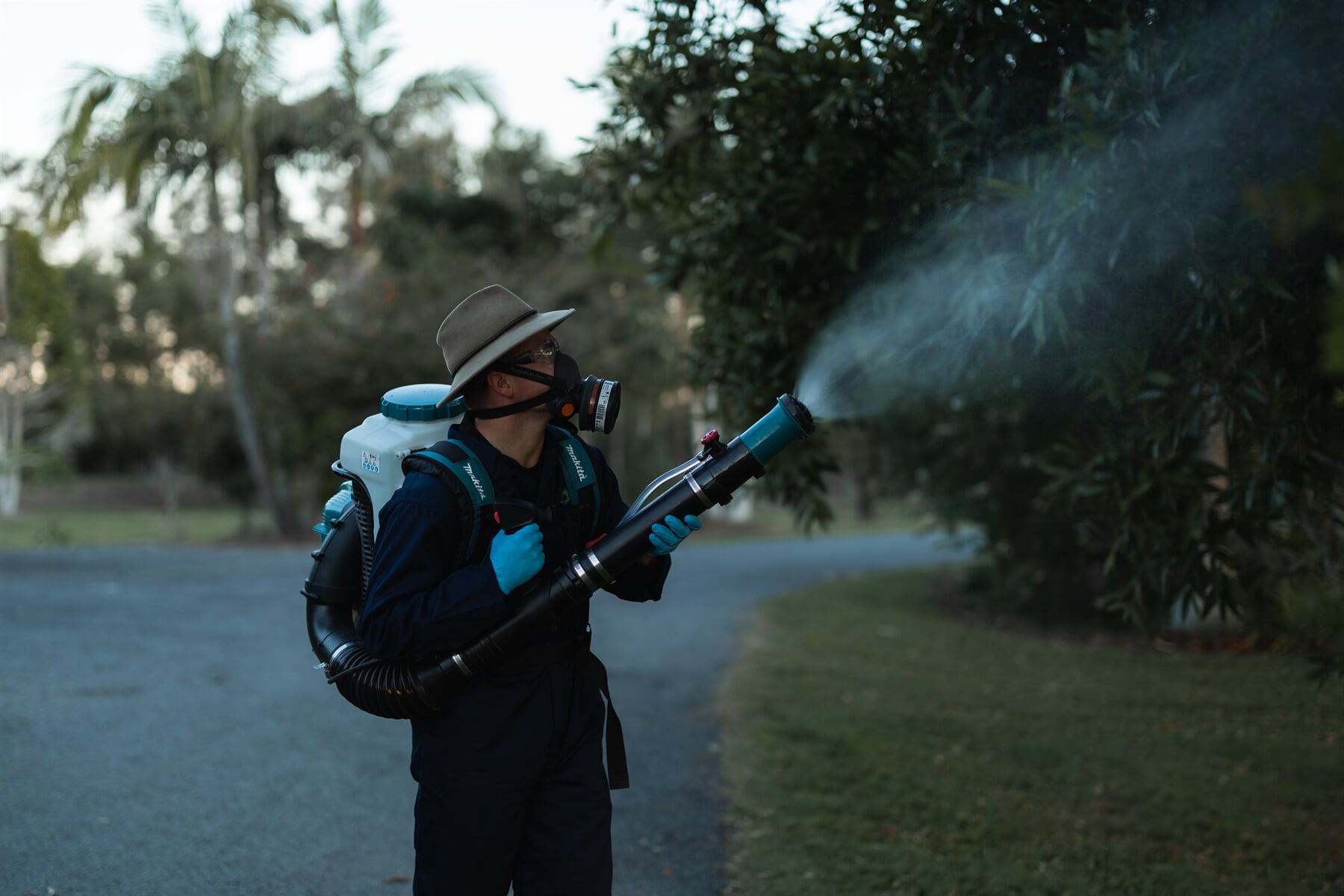 Gallery | Northern Rivers Pest Control Service