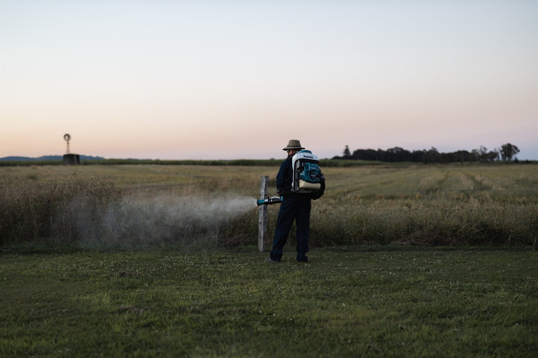 Gallery | Northern Rivers Pest Control Service