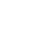 Pest Control & Termite Inspection Lismore | All Pest Solutions