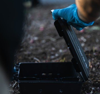 Gallery | Northern Rivers Pest Control Service