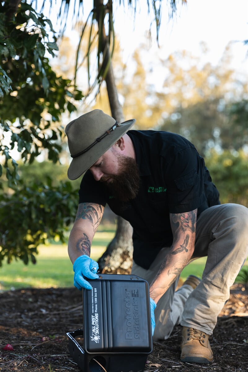 Gallery | Northern Rivers Pest Control Service