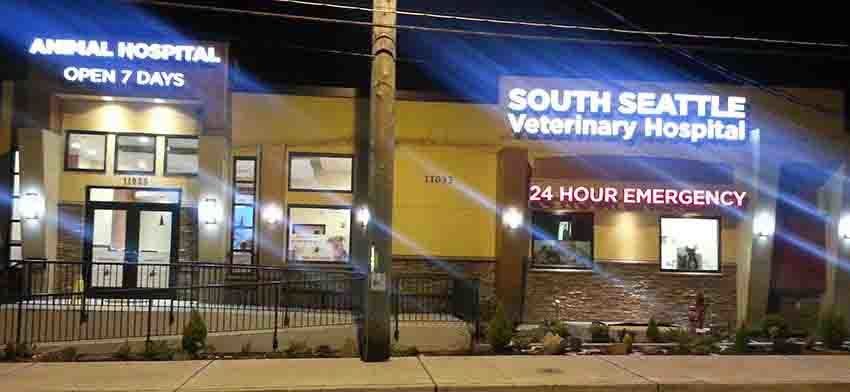 Seattle Emergency Veterinary Hospital Tour