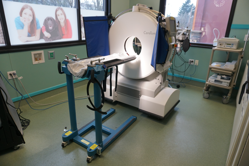CT Scans for Pets | South Seattle Vet