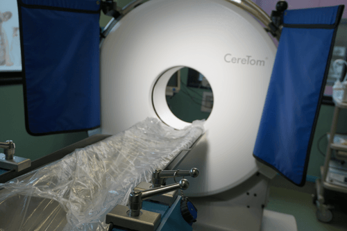CT Scans for Pets | South Seattle Vet