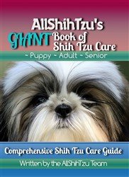 Shih Tzu Senior Care