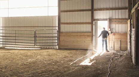 A convenient livery stable, Church Farm Kennels
