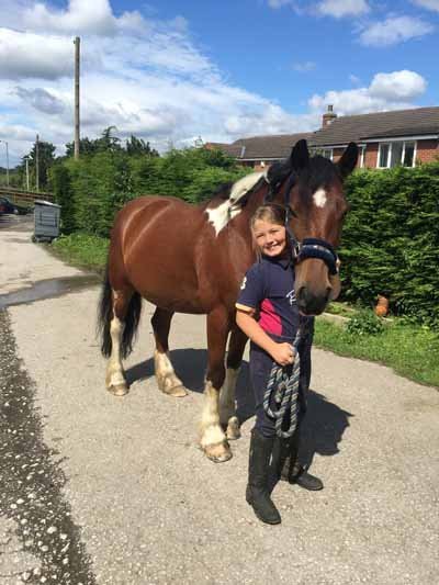 Lily Lodge Riding School | Local Equestrian Centre | High Green