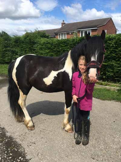 Lily Lodge Riding School | Local Equestrian Centre | High Green