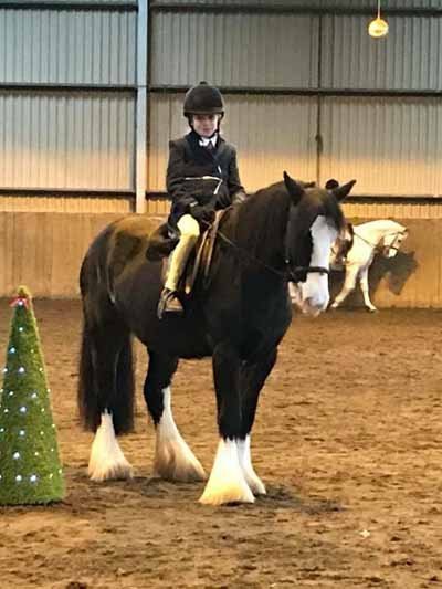 Lily Lodge Riding School | Local Equestrian Centre | High Green