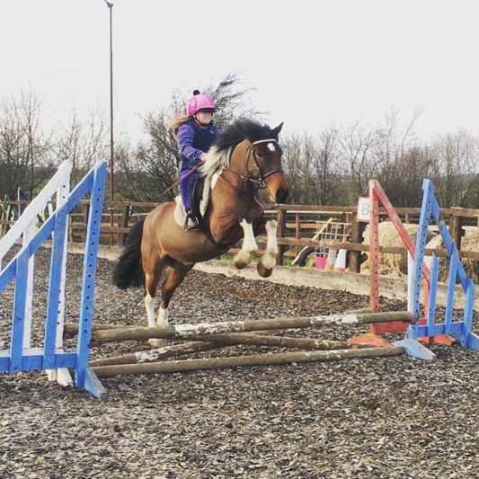 Lily Lodge Riding School | Local Equestrian Centre | High Green