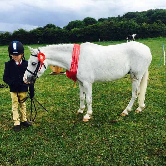 Lily Lodge Riding School | Local Equestrian Centre | High Green