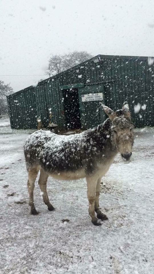 Indoor horse riding arena | Hayfield Riding School