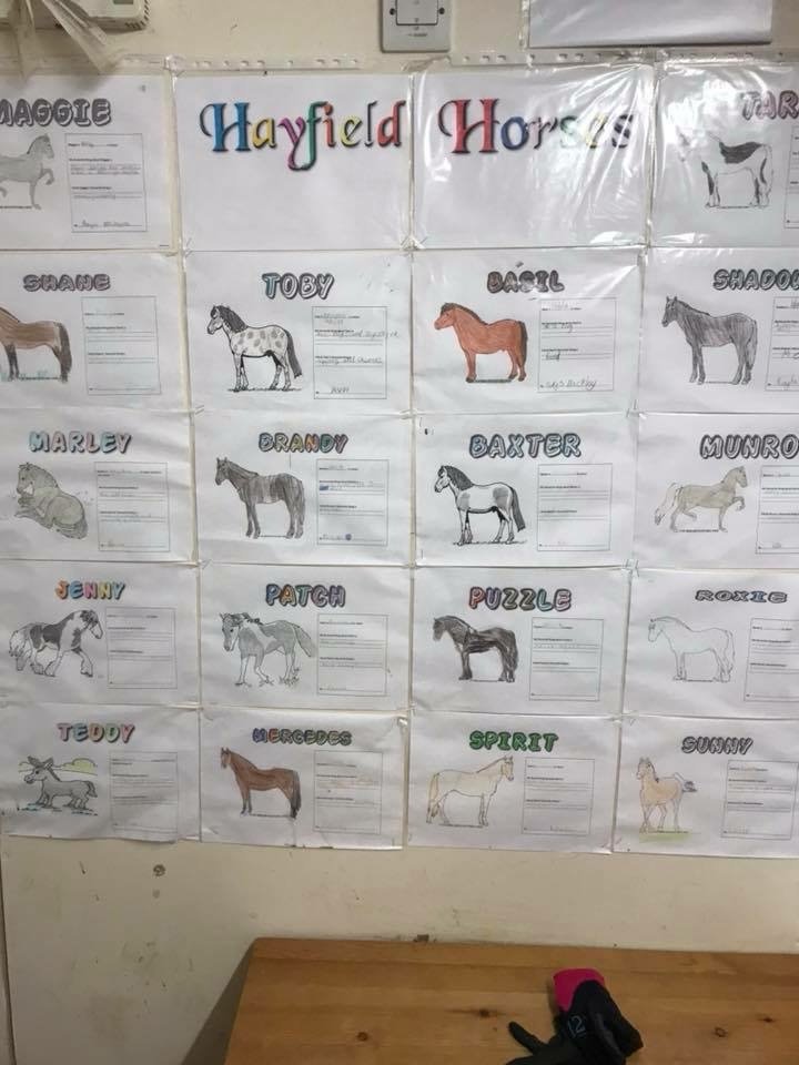 Indoor horse riding arena | Hayfield Riding School