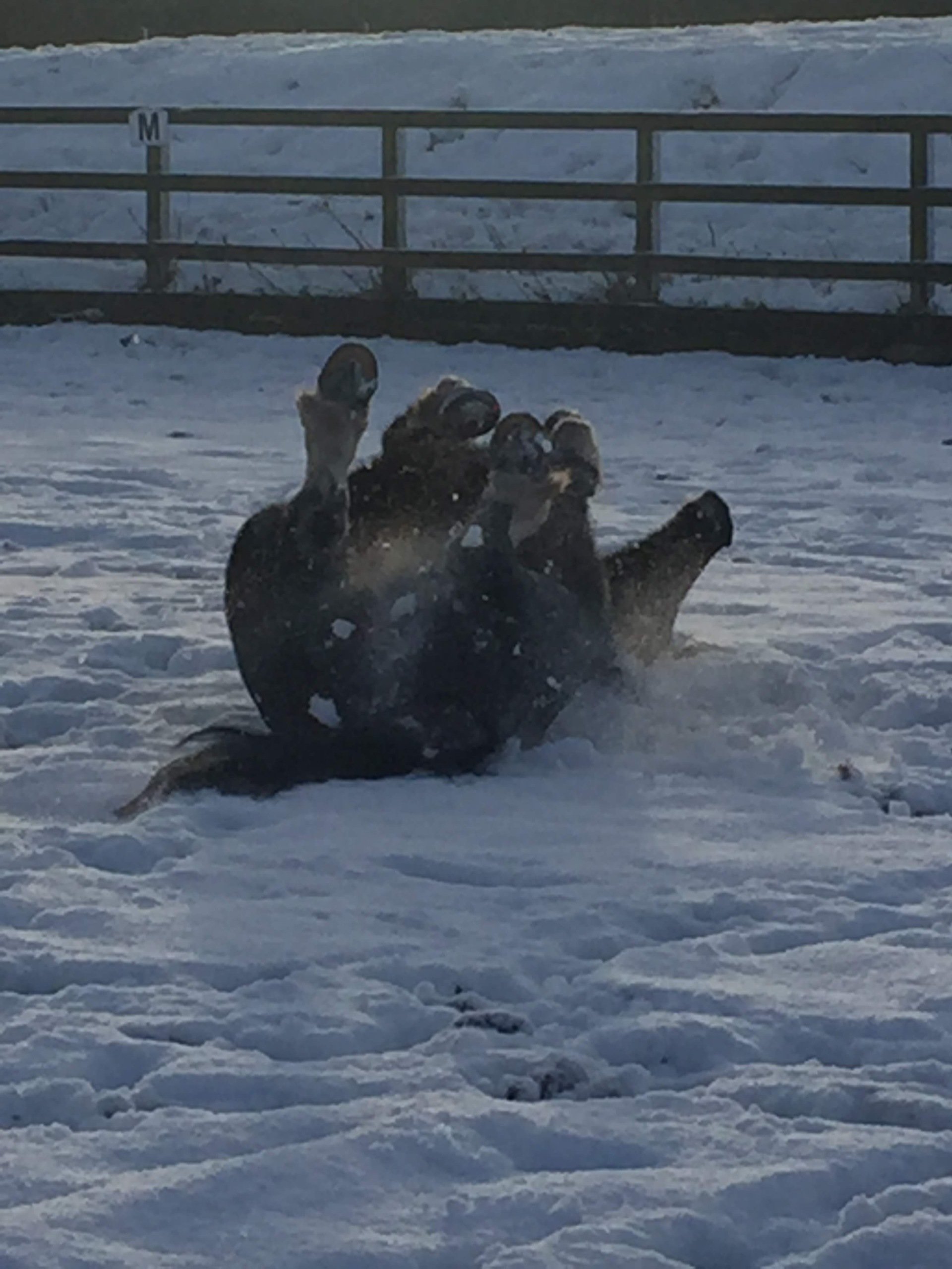 Indoor horse riding arena | Hayfield Riding School