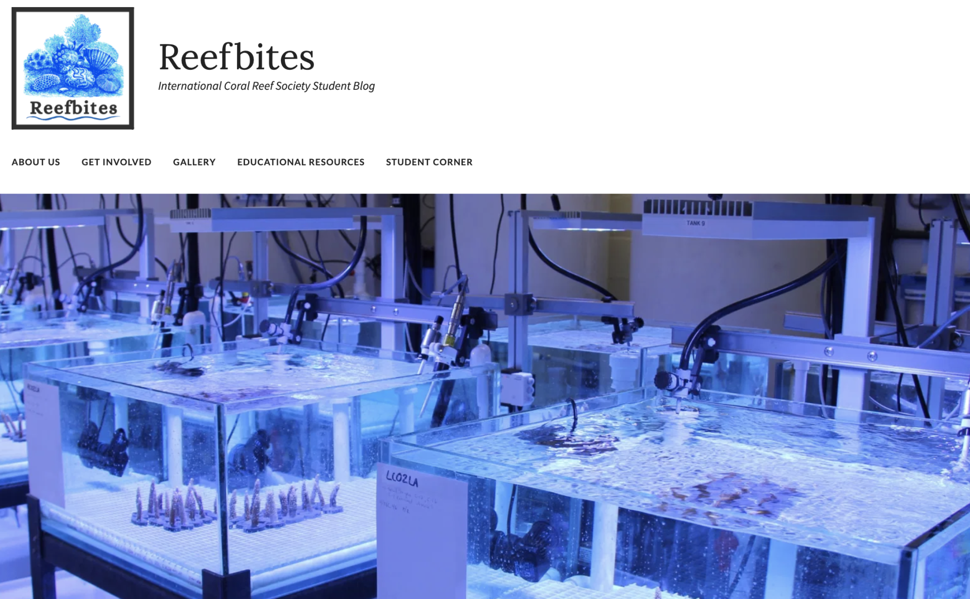 Jonathan D. Cybulski