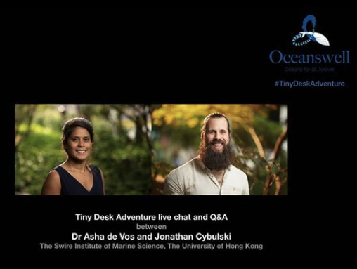 Jonathan D. Cybulski