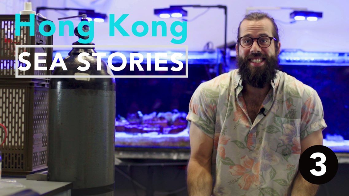 Jonathan D. Cybulski