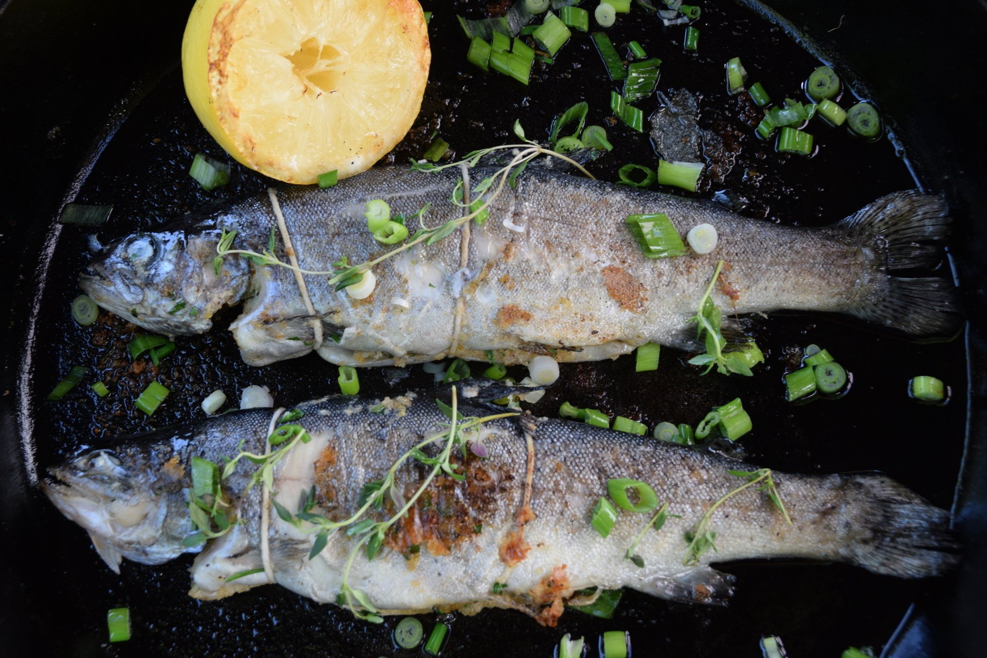 Spring Onion-Stuffed Brook Trout Recipe | Western BBQ