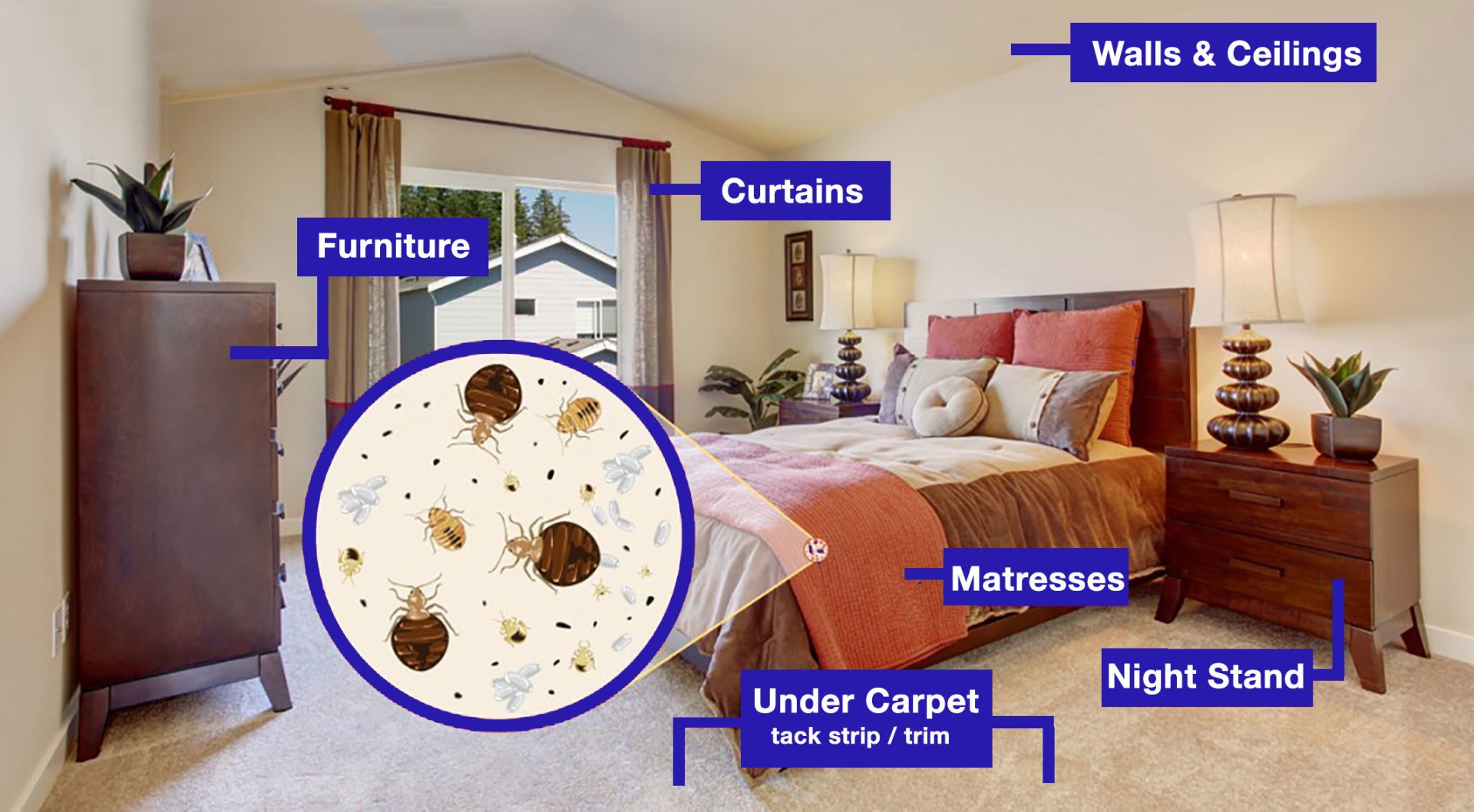 How to check in to a hotel