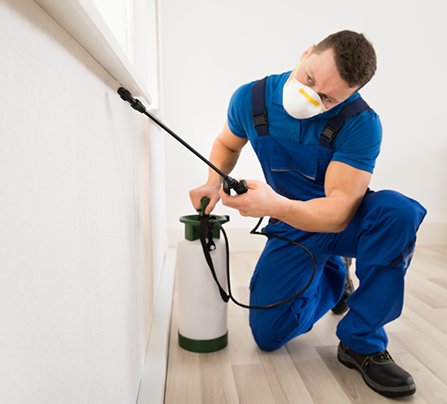 Pest Control | Fort Smith, AR | Extermco Termite & Pest Control