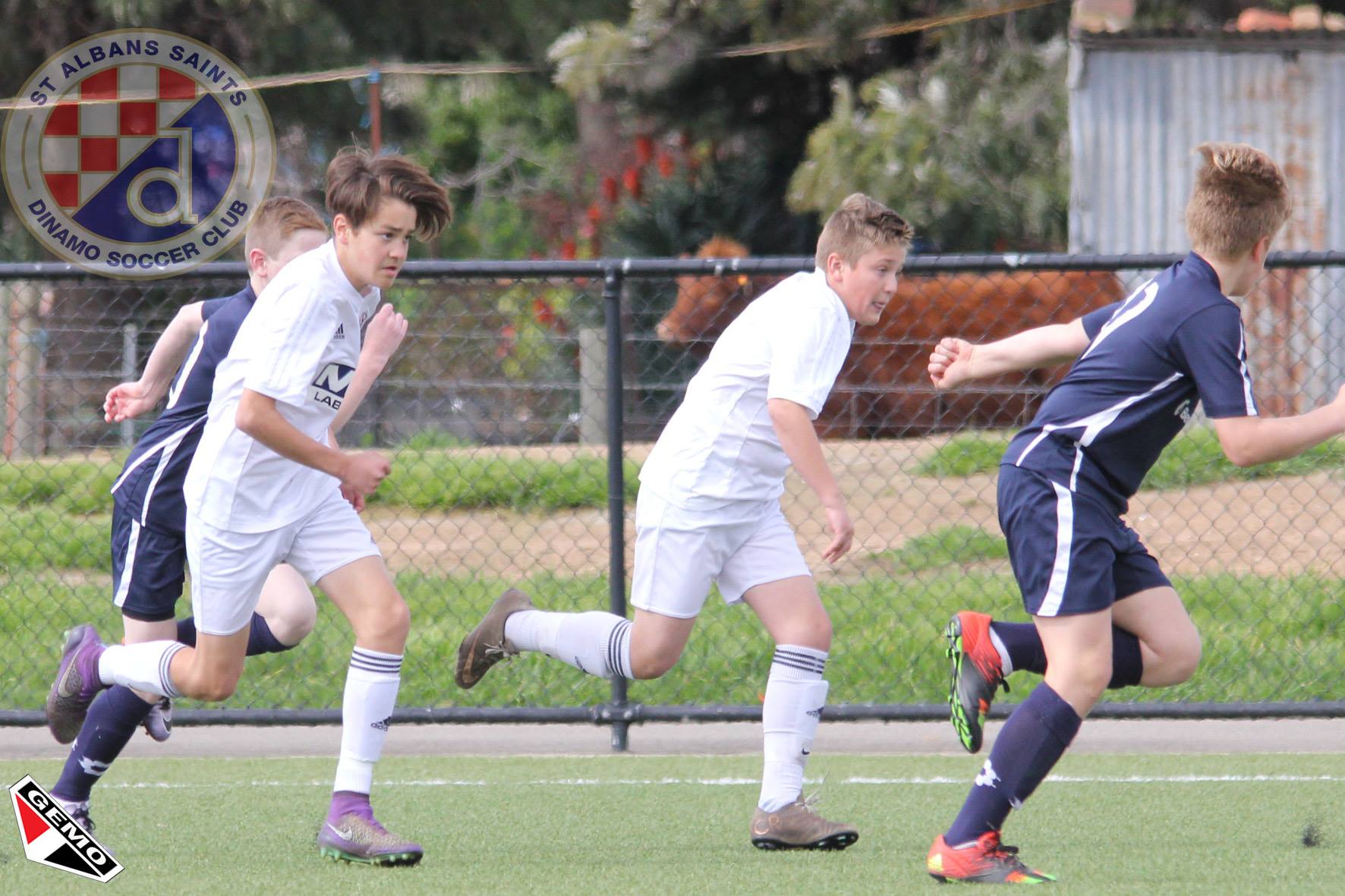 St Albans Saints Dinamo Soccer Club