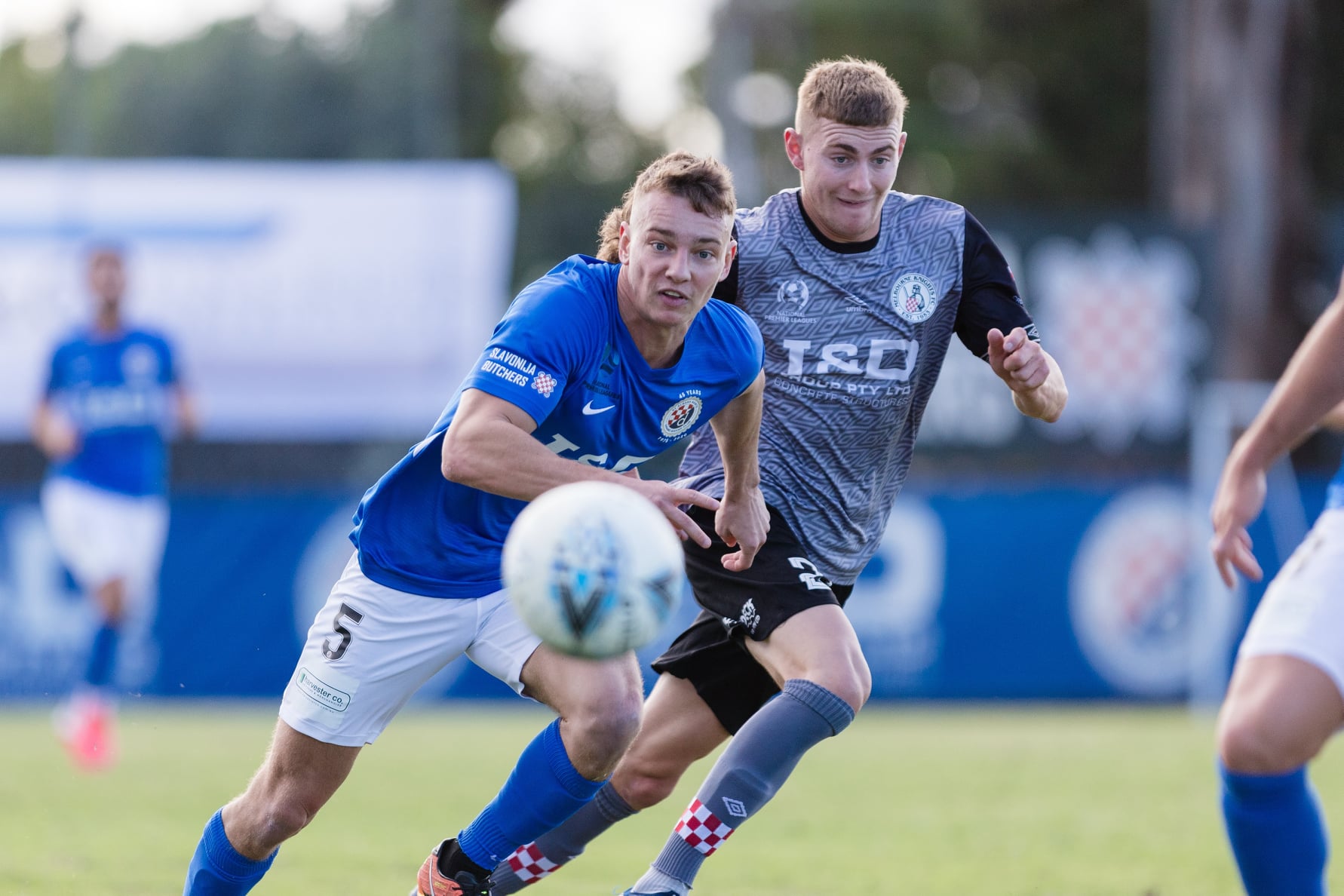 St Albans Saints Dinamo Soccer Club