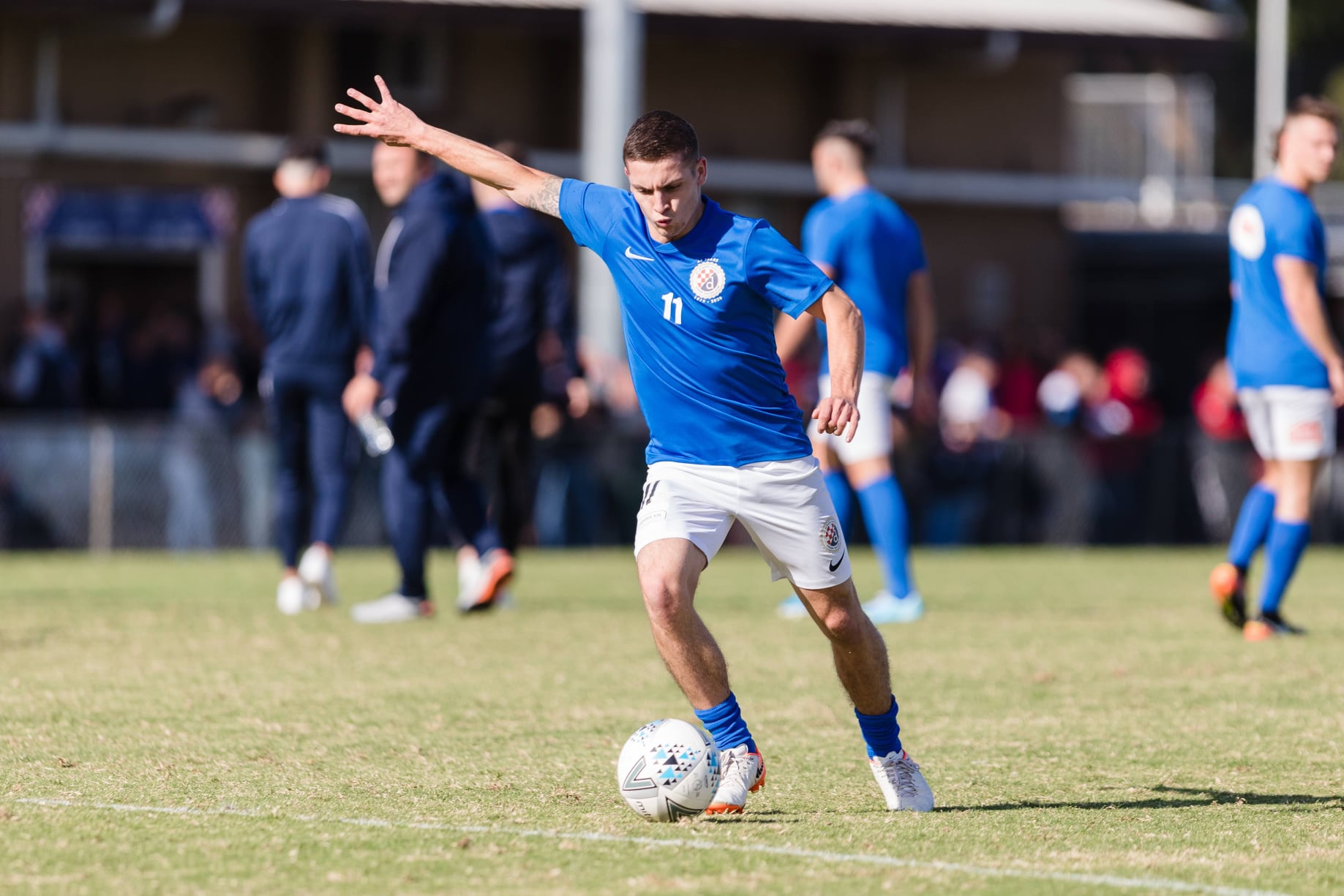 St Albans Saints Dinamo Soccer Club